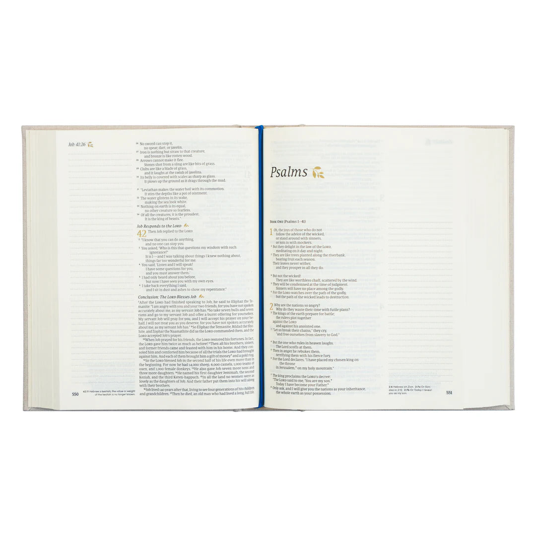 Hosanna Revival NLT Notetaking Bible: Adelaide Theme – Boot Country